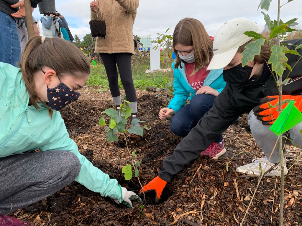 Lakeside Little Forest – Little Forests