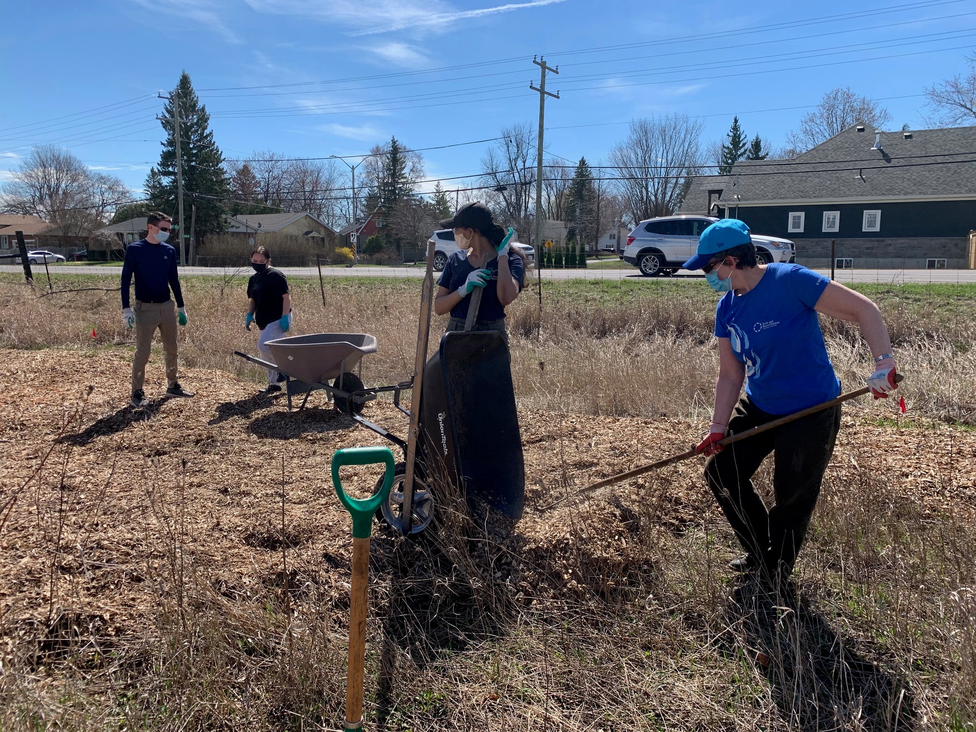 How to prepare the forest floor – Little Forests
