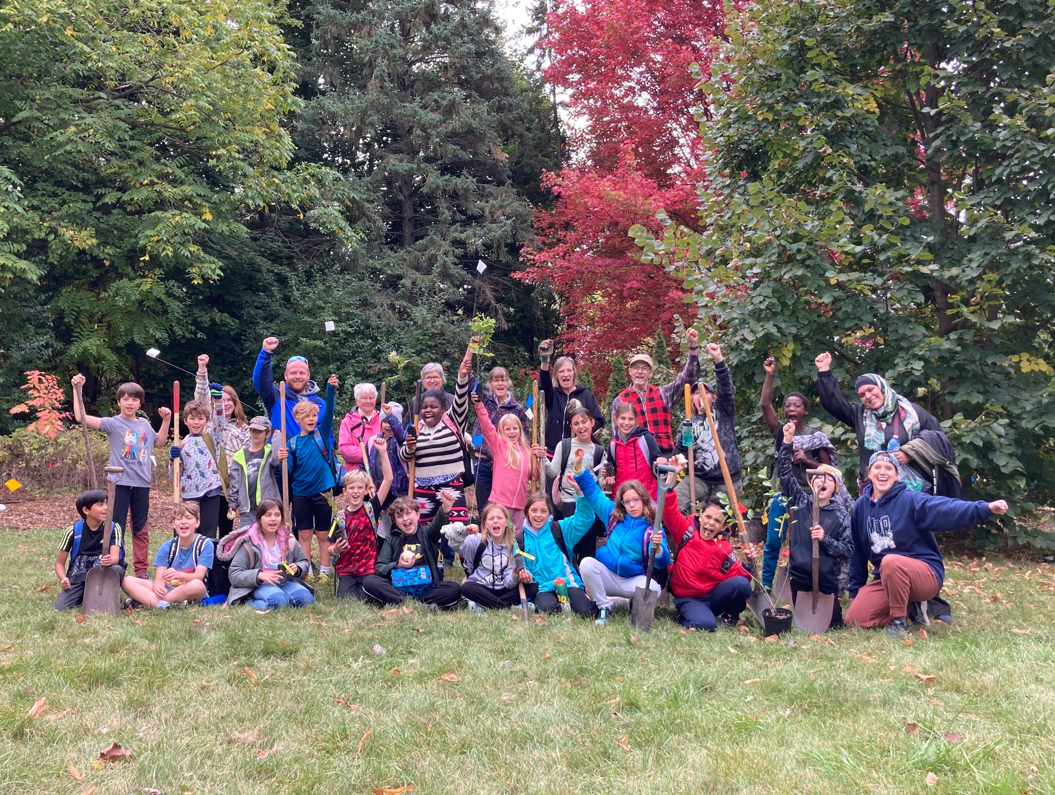 Grenville Park Little Forest – Little Forests